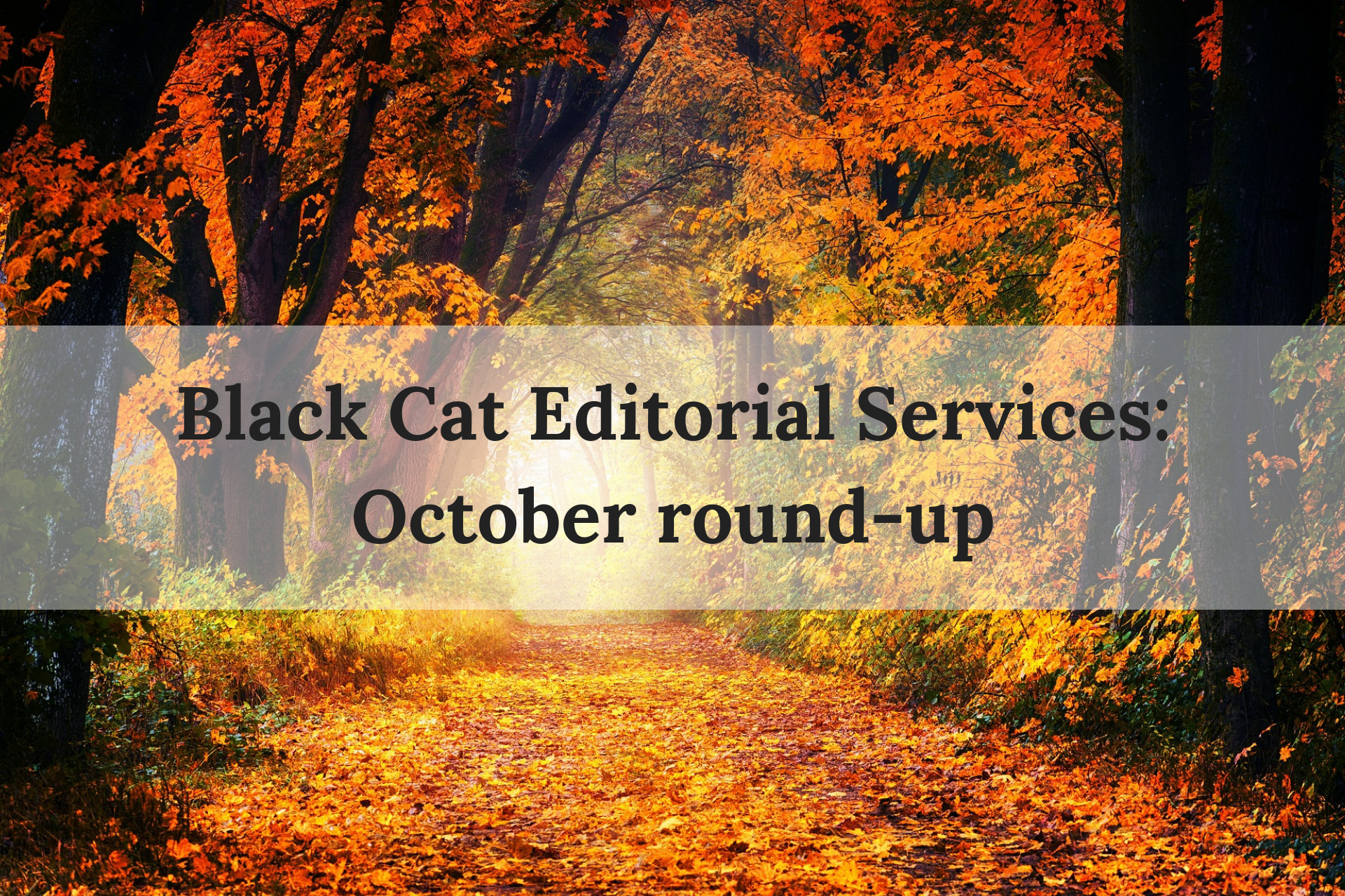 The Black Cat monthly round-up: October 2019 – Black Cat Editorial Services